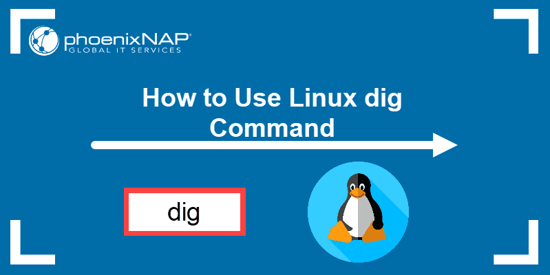 如何使用Linux dig命令(DNS查找){示例} - 德赢平台vwin